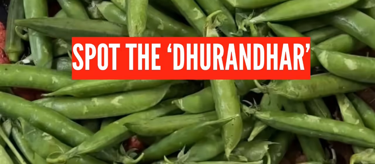 ‘Dhurandhar’ Man Goes Viral for Effortless Chill