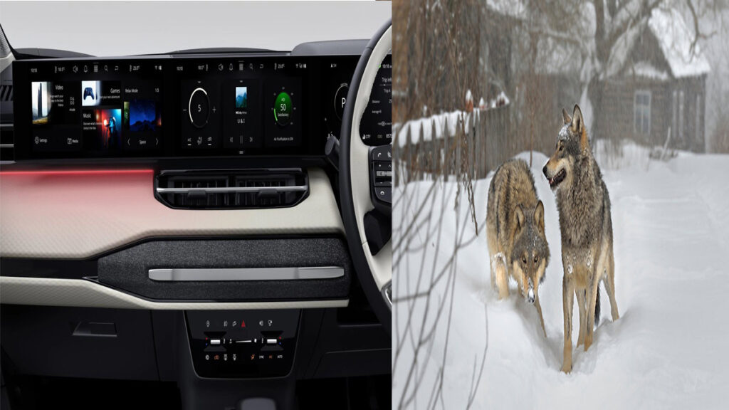 Resilience & Innovation: From Chernobyl Wolves to India Tech Giants